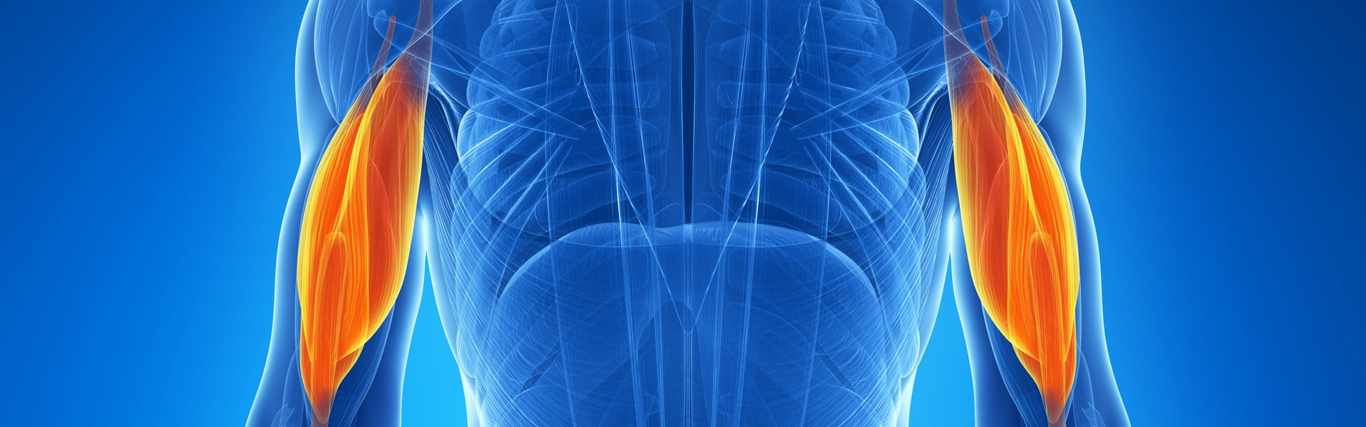 Tricep Injuries I Fighting Arts Health Lab